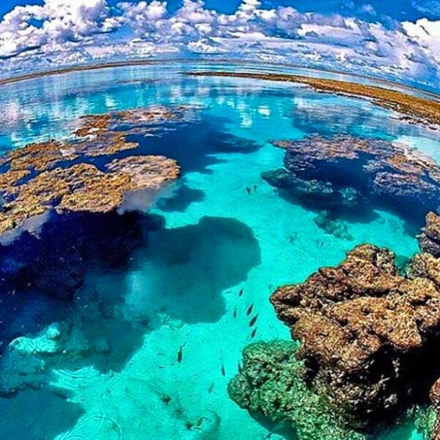 Praia do Patacho, Litoral Norte de Alagoas | Repórter Maceió